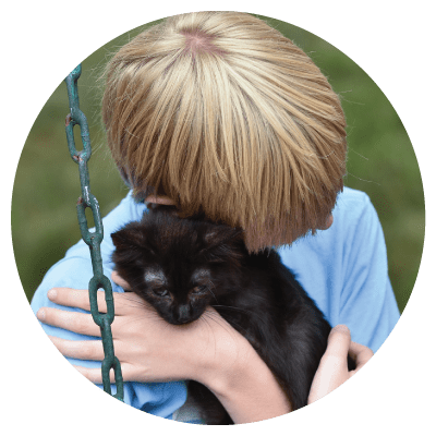 Adopt a Cat – Whiskers TNR of Warren County